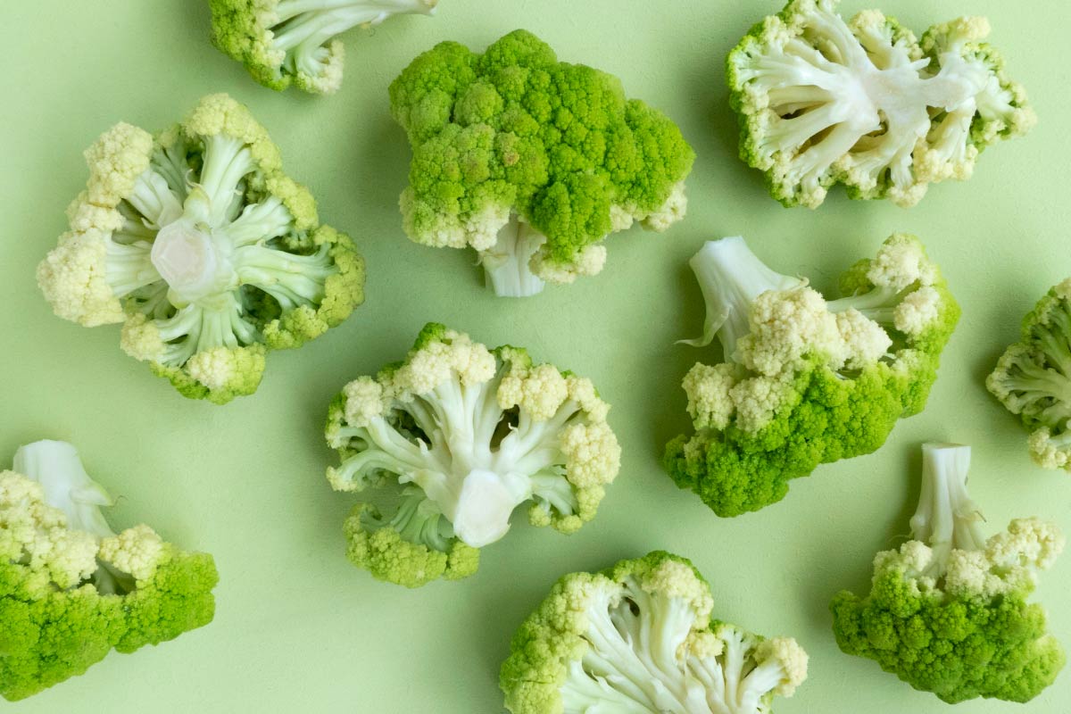 Nominación Deliberadamente descuento diferencia entre col rizada y repollo Ojalá cueva Atajos